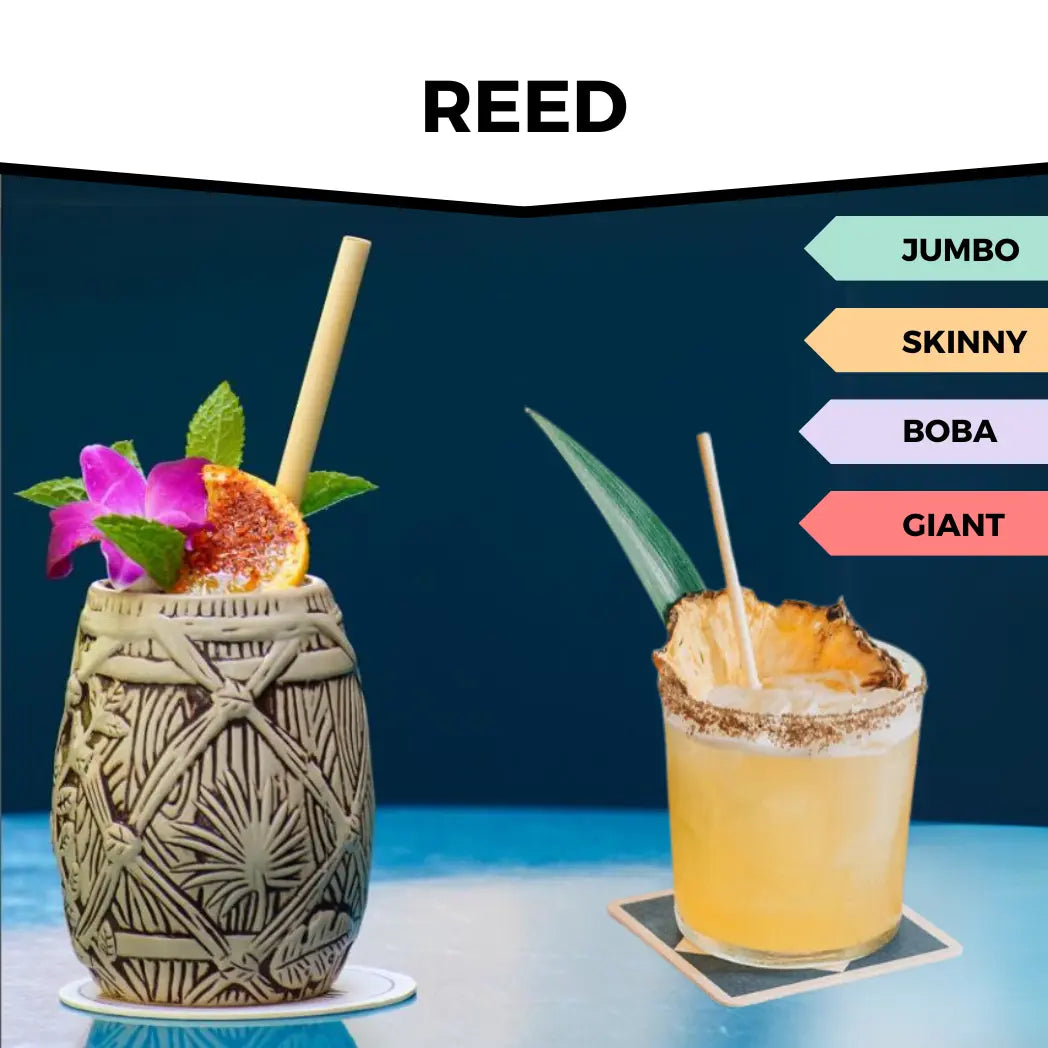 Shop Reed Straws | Sustainable & Certified Compostable – Holy City ...